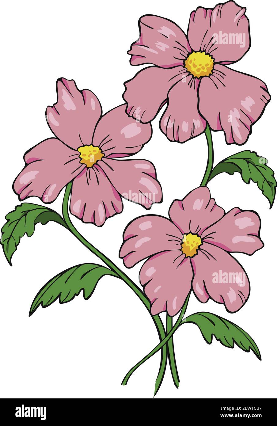 Spring blooming perennial plants Stock Vector Images - Alamy