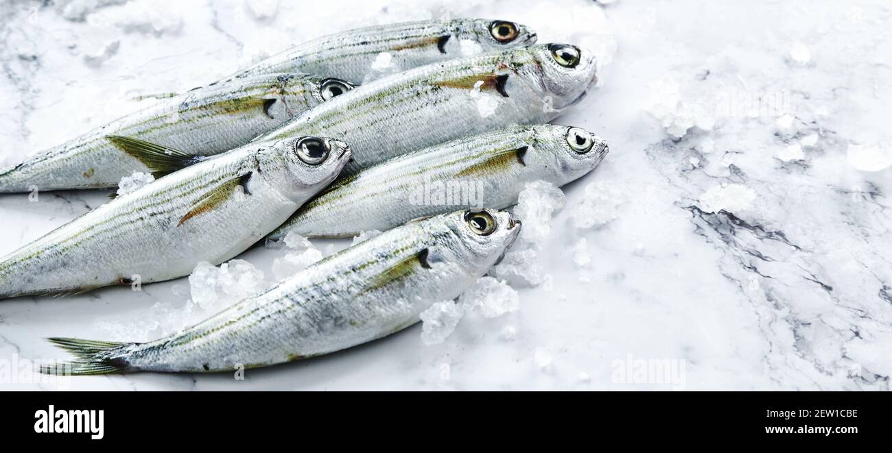 From above of whole uncooked pilchards with tails and fins on marble ...