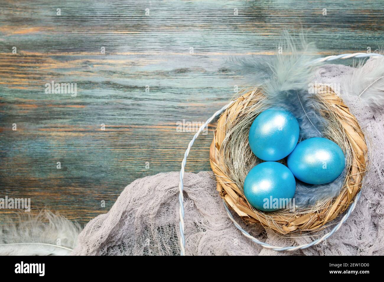 Blue easter background with colored eggs in the nest with feathers on ...