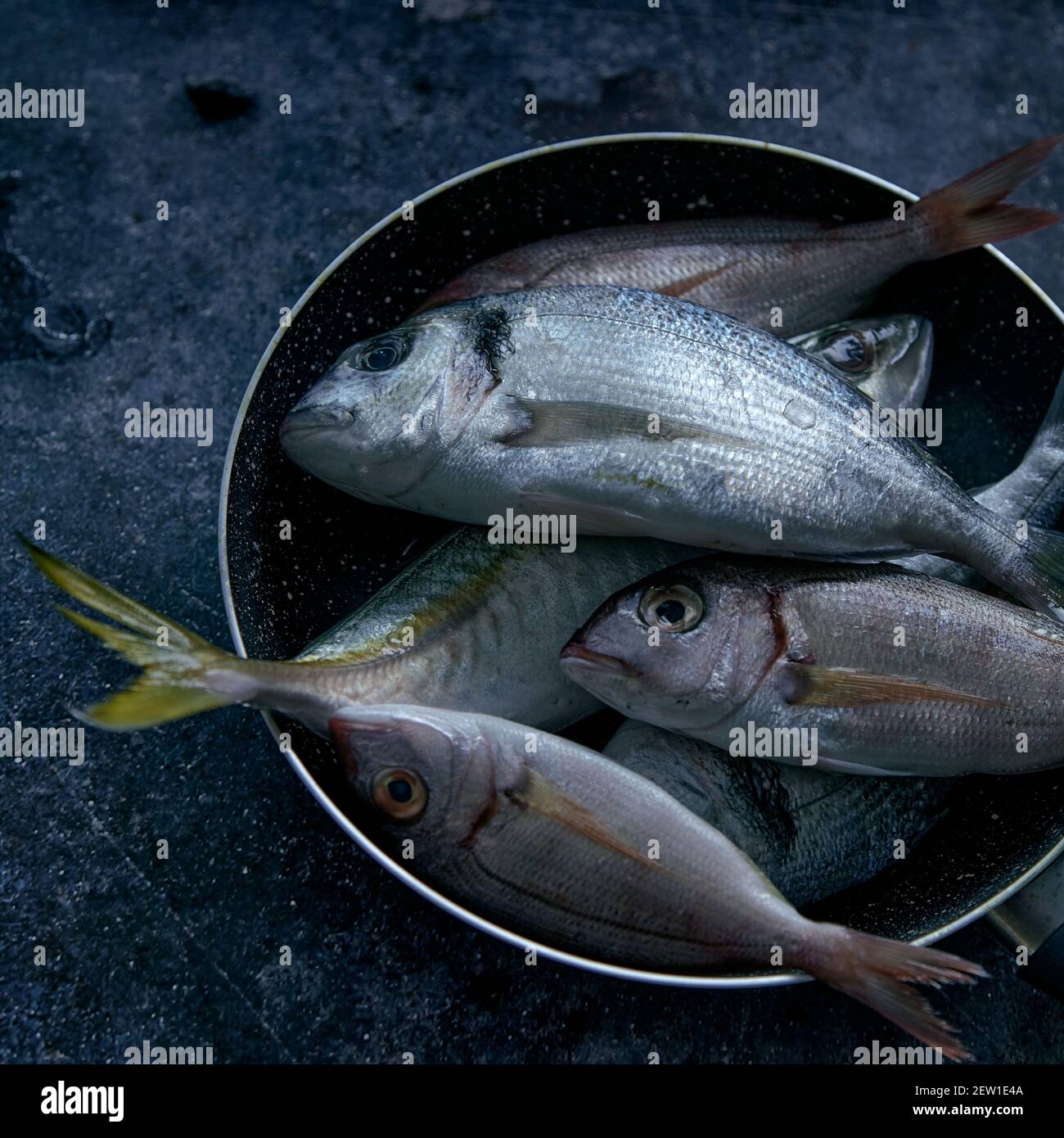 High angle of various types of whole fresh fish in round shaped bowl on ...