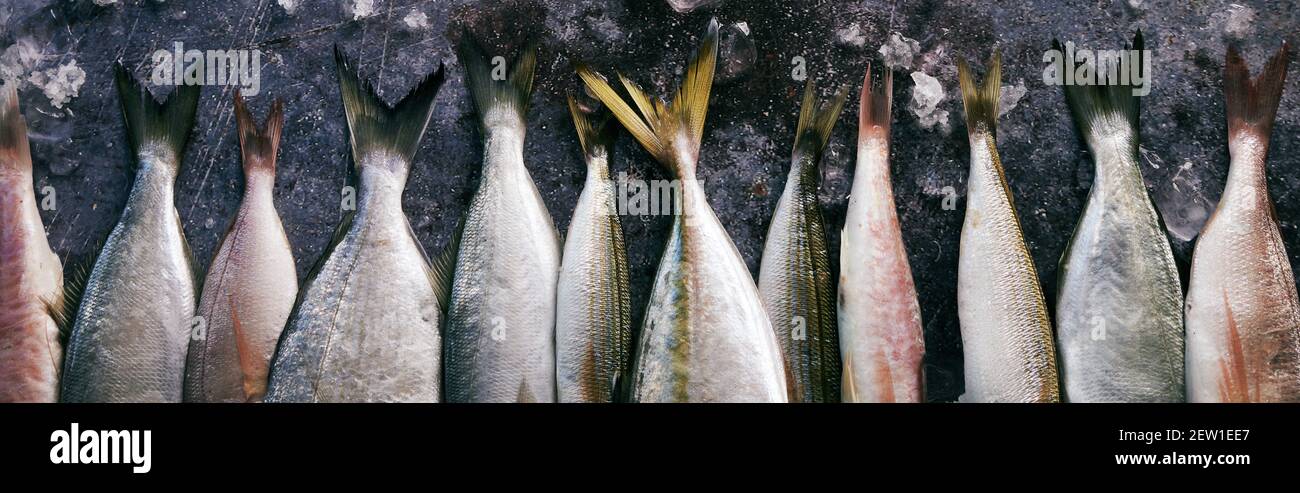 Top view wide angle of various types of raw fish with tails on table ...