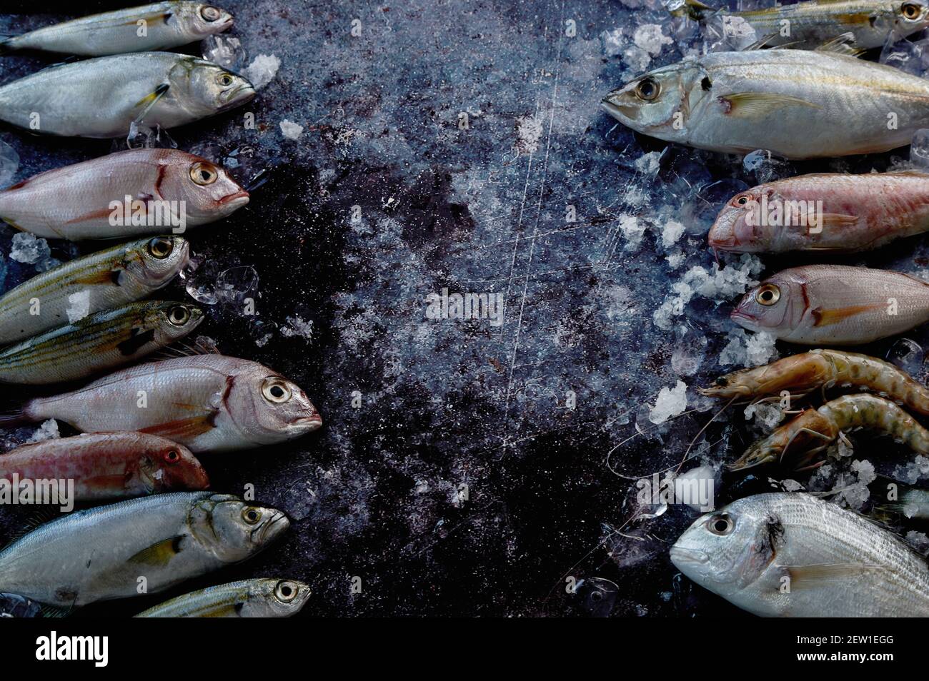 From above of assorted uncooked fish with eyes and fins in rows between ...