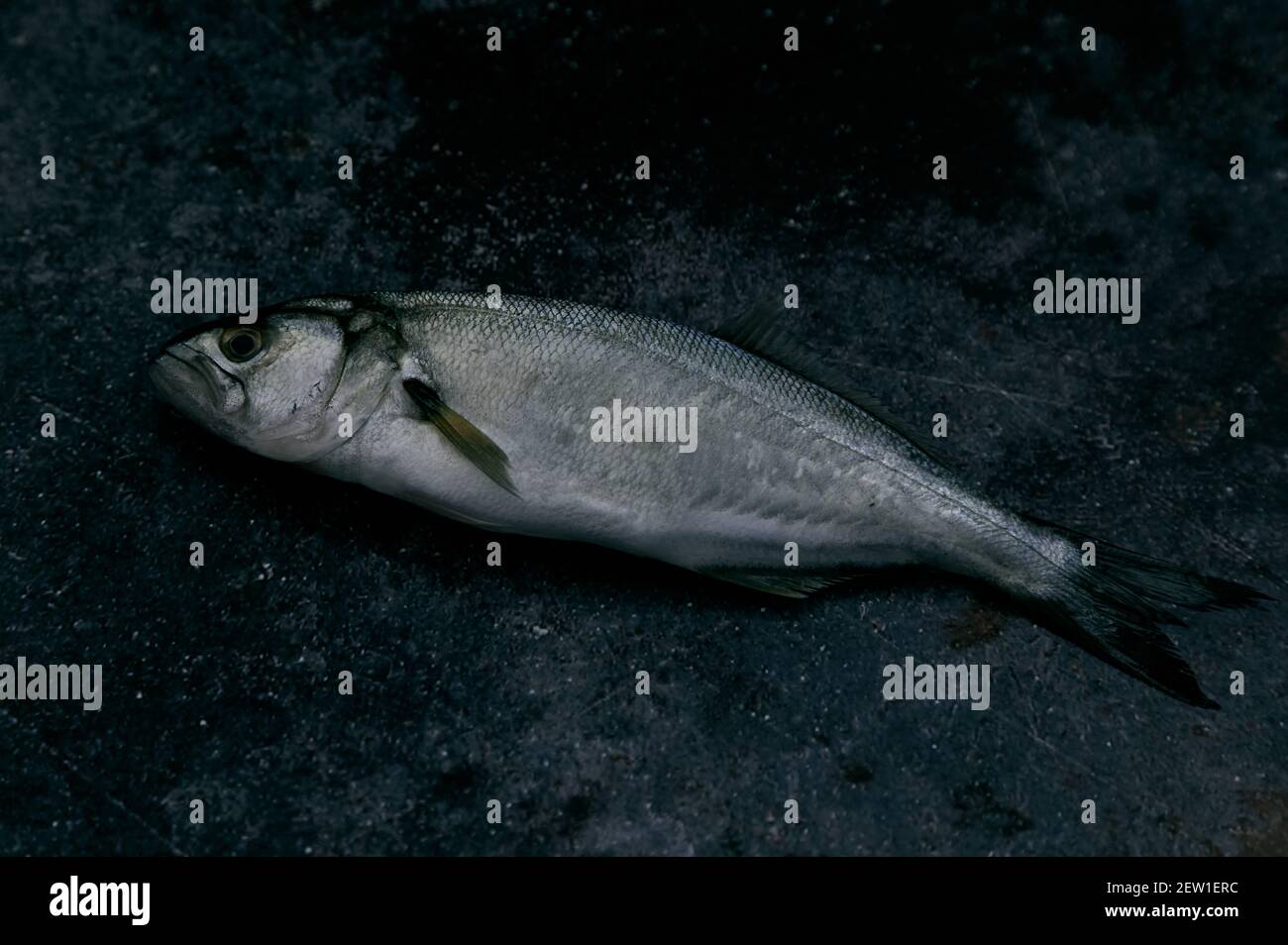 Gray scales hi-res stock photography and images - Alamy