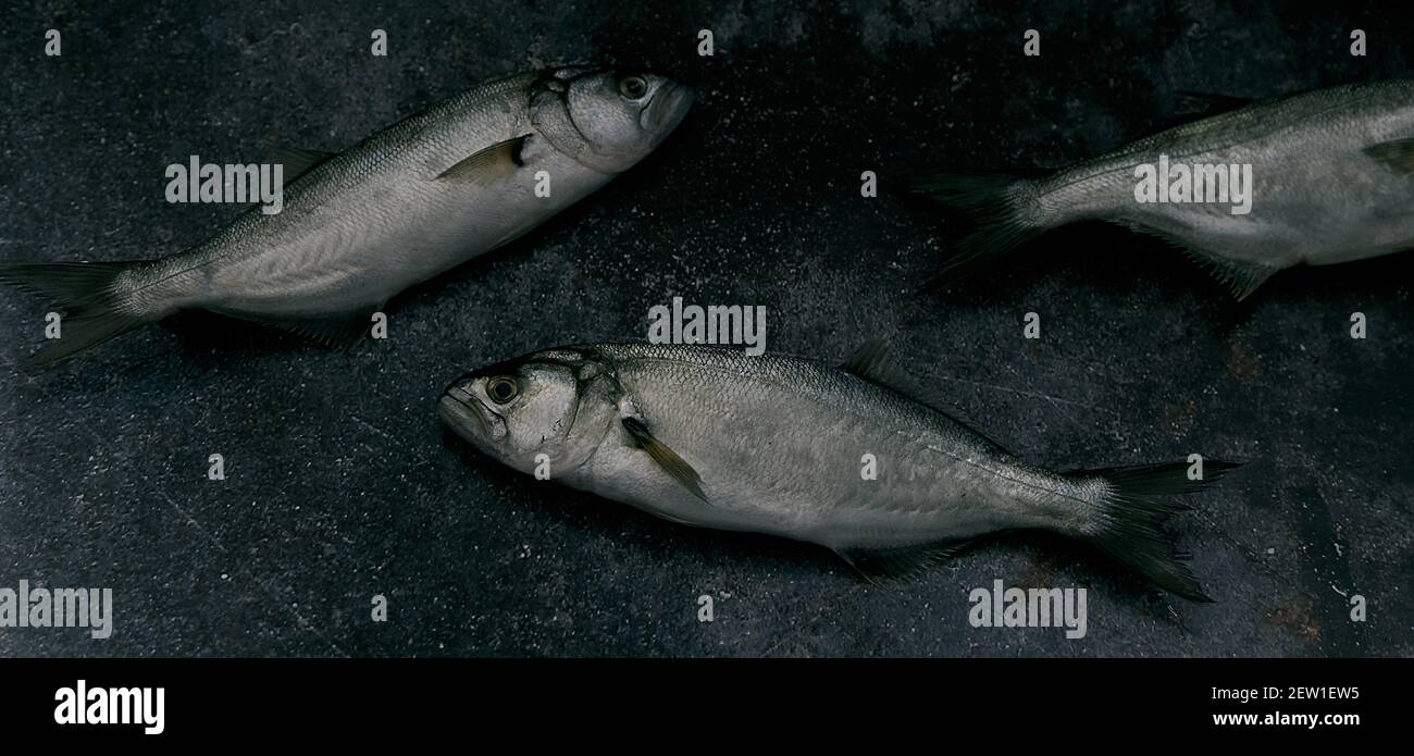 Minimalism and wide scale hi-res stock photography and images - Alamy