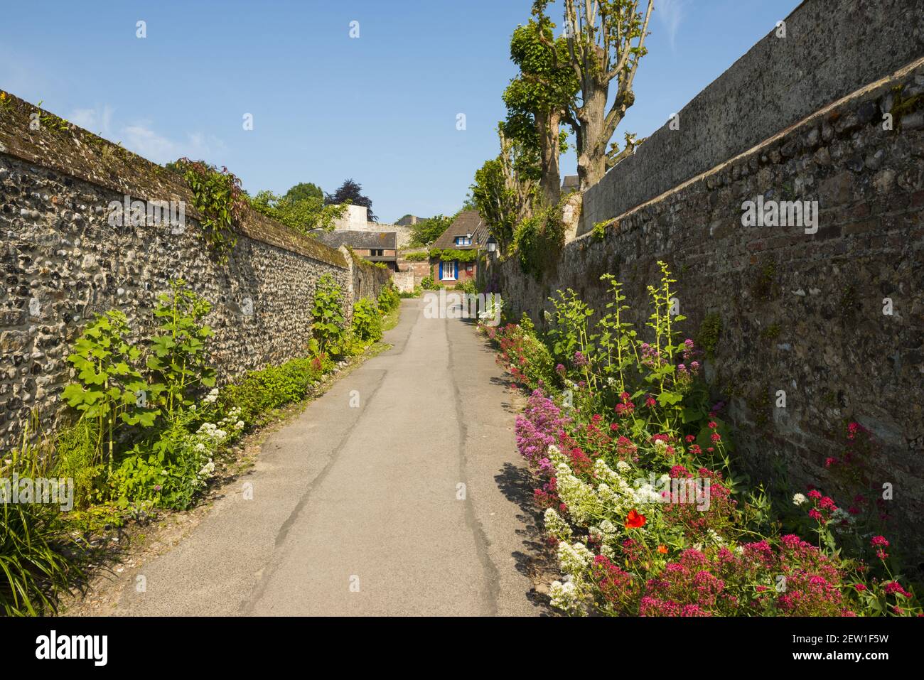 France, Somme, Baie de Somme, Saint Valery sur Somme, the flowery ...