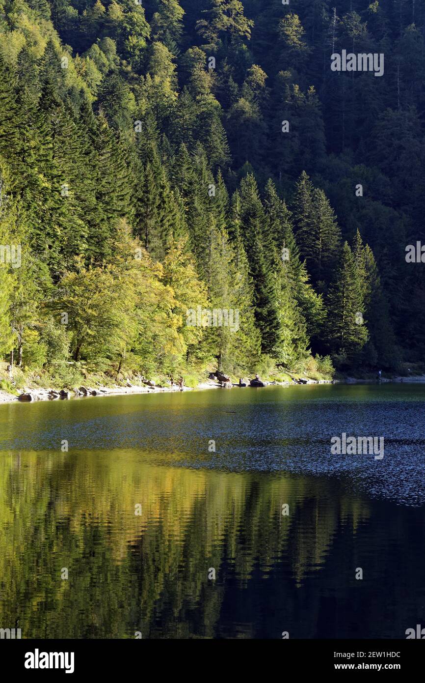France, Vosges, High Vosges, Parc Naturel Regional des Ballons des ...