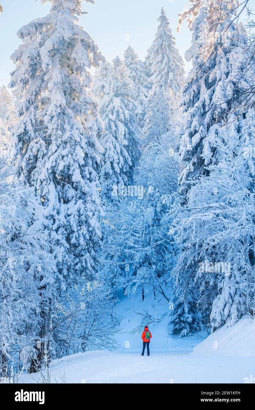 Som col hi-res stock photography and images - Alamy