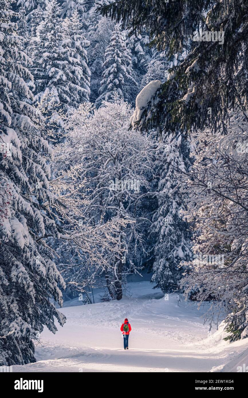 Som col hi-res stock photography and images - Alamy