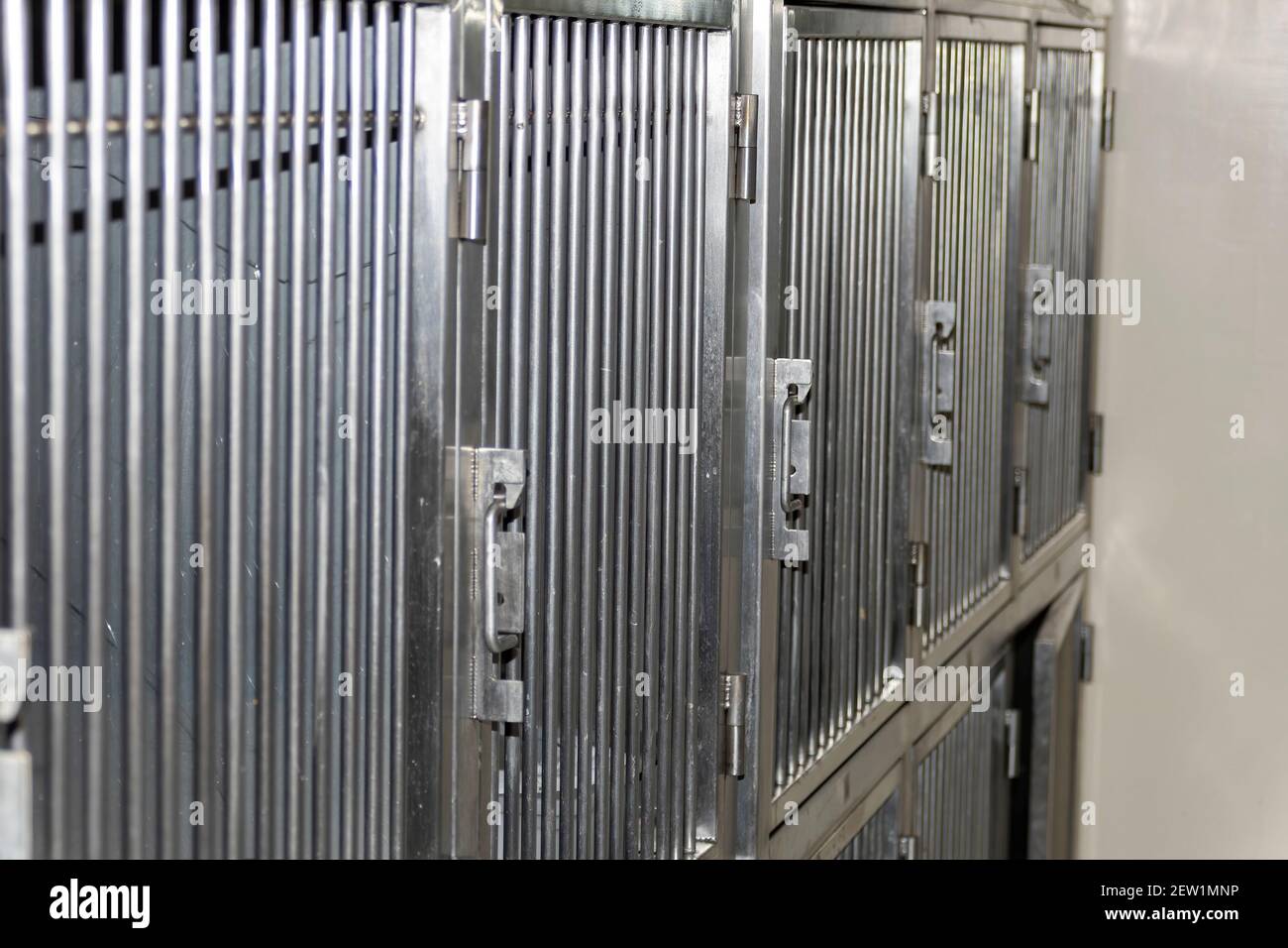 Lab animals in cage hi-res stock photography and images - Alamy