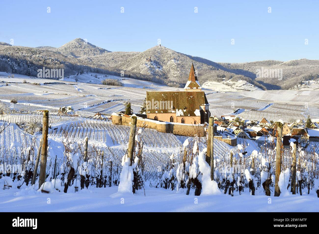 Alsace vineyard winter hi-res stock photography and images - Alamy
