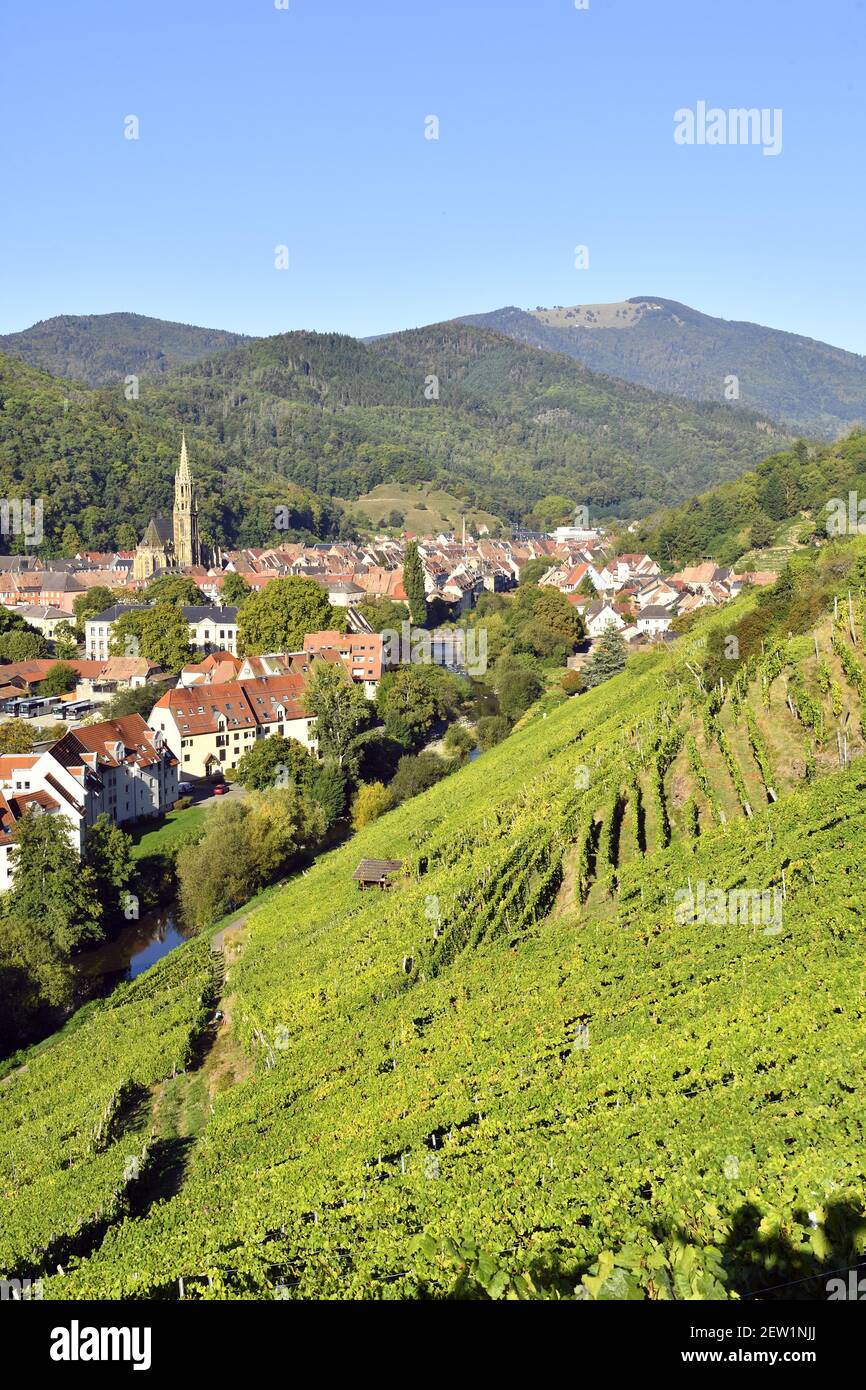 Rangen vineyard hi-res stock photography and images - Alamy