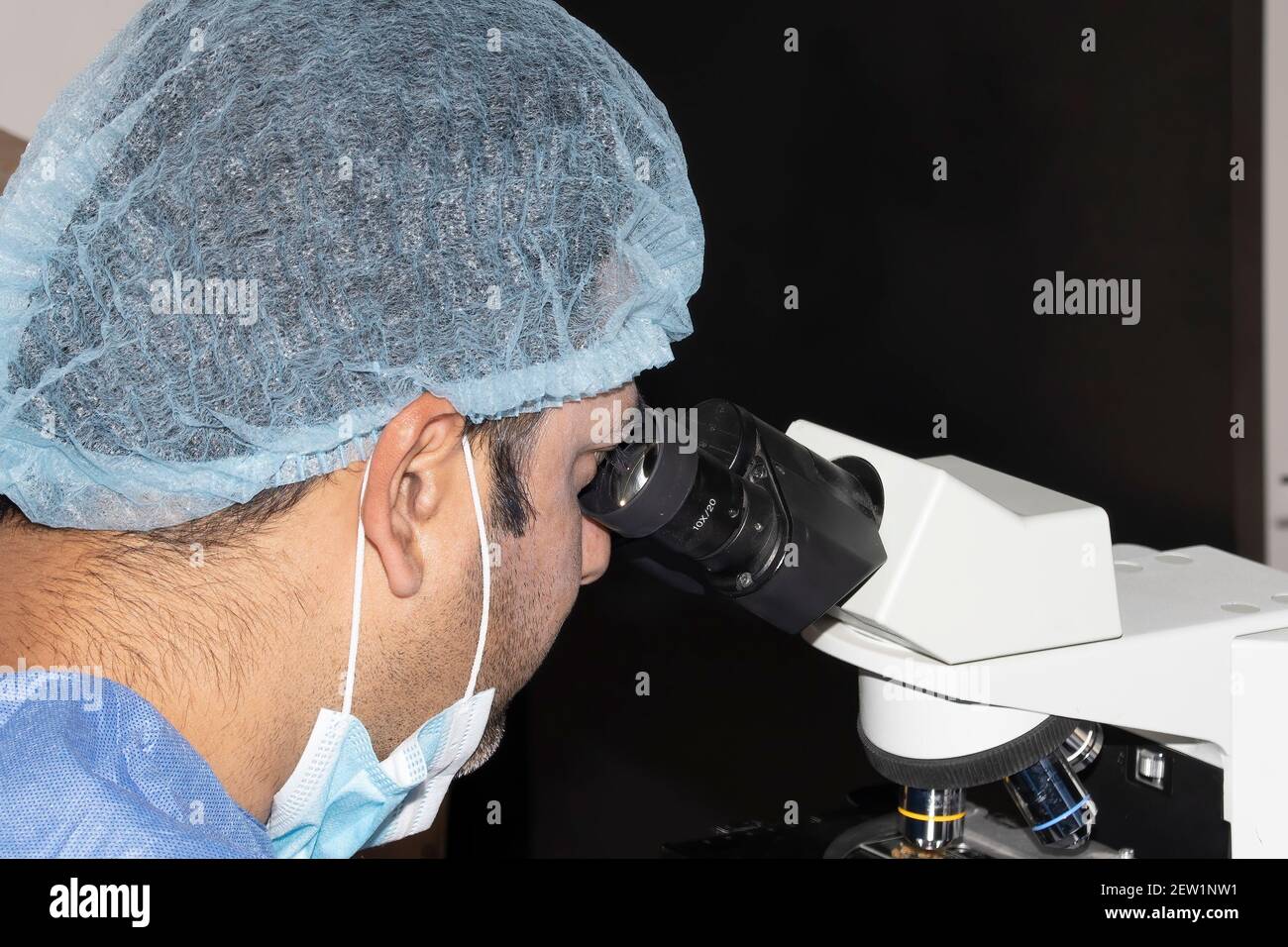 Parasites microscope hi-res stock photography and images - Alamy
