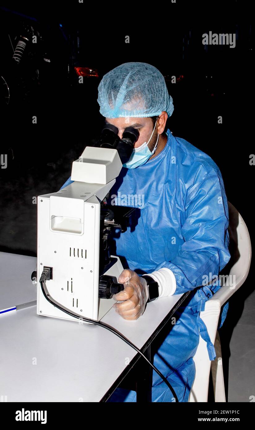 Parasites microscope hi-res stock photography and images - Alamy