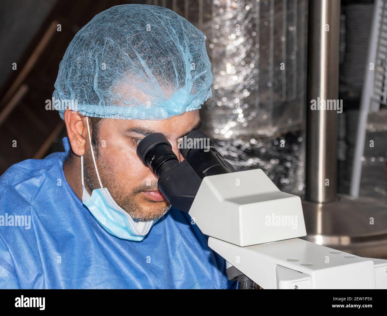 A professional veterinarian uses a microscope to look for parasites ...