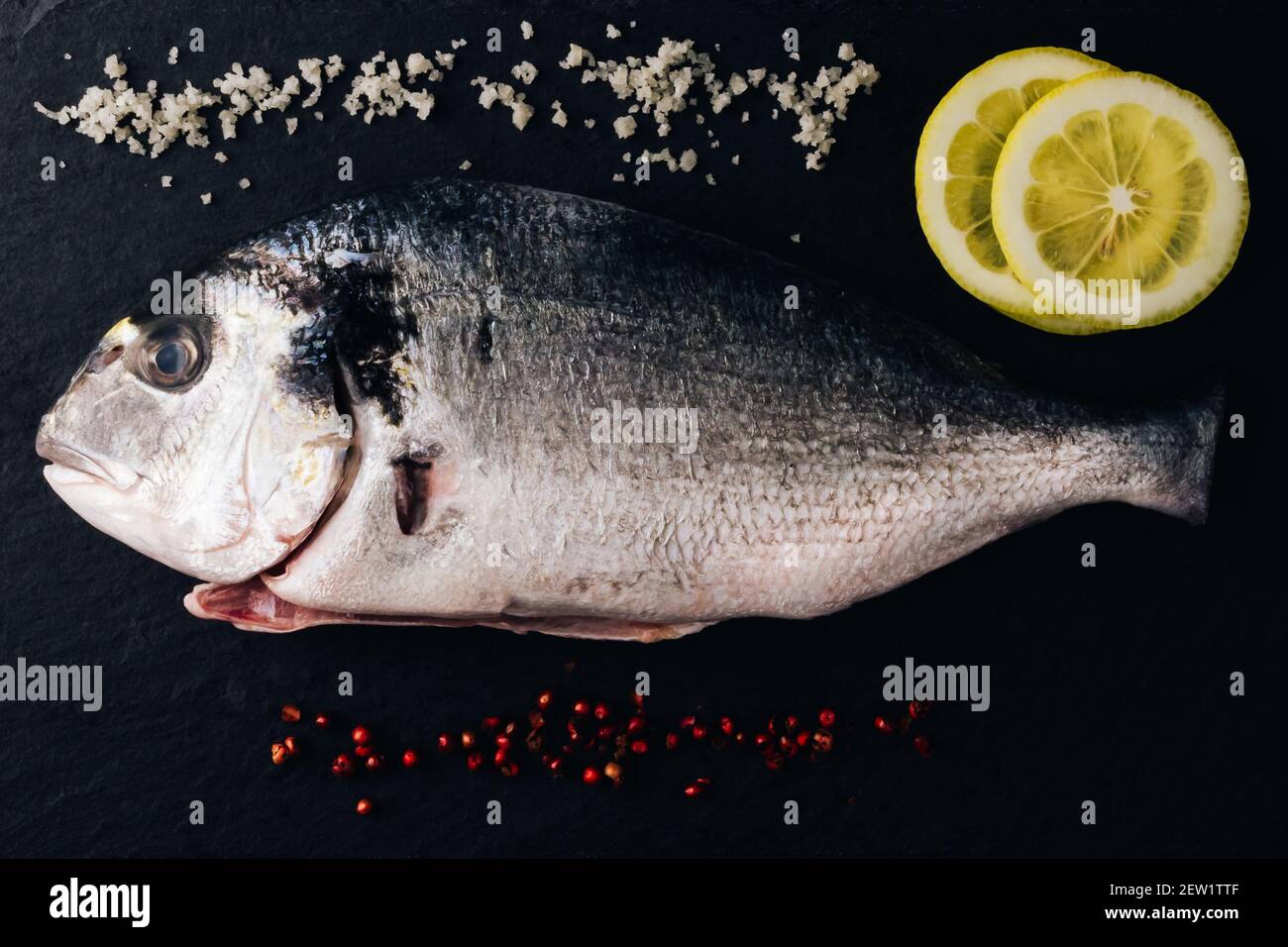 Black bream fish hi-res stock photography and images - Alamy