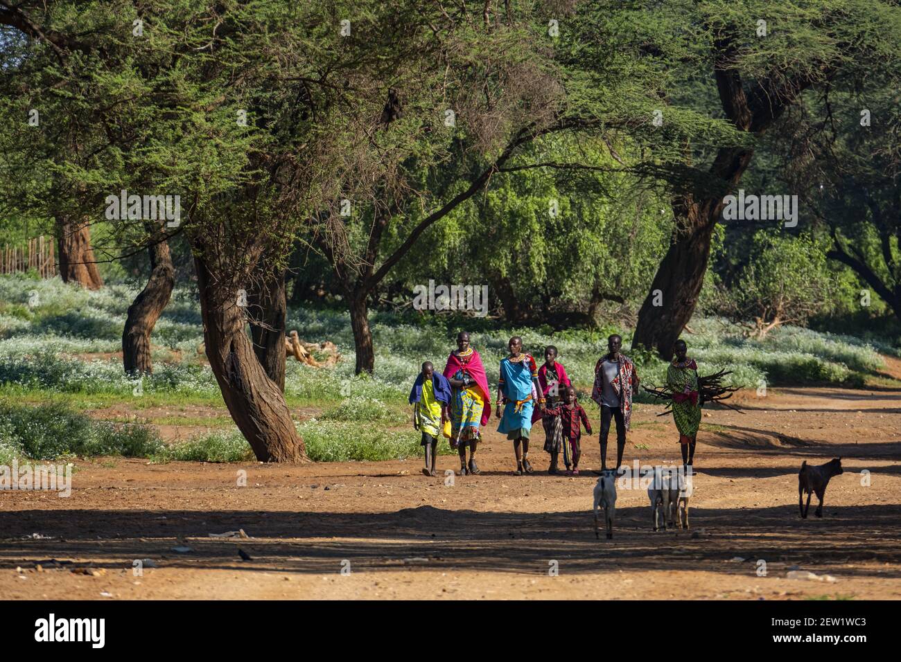 Kenya, Marsabit county, people in a forest oasis Stock Photo - Alamy