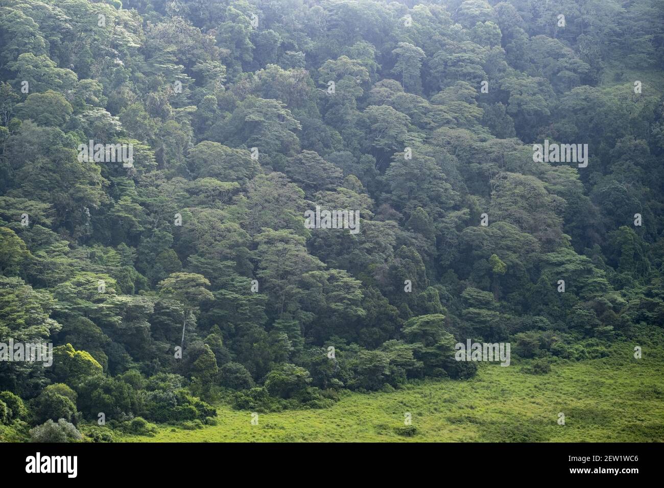 Marsabit park lake hi-res stock photography and images - Alamy