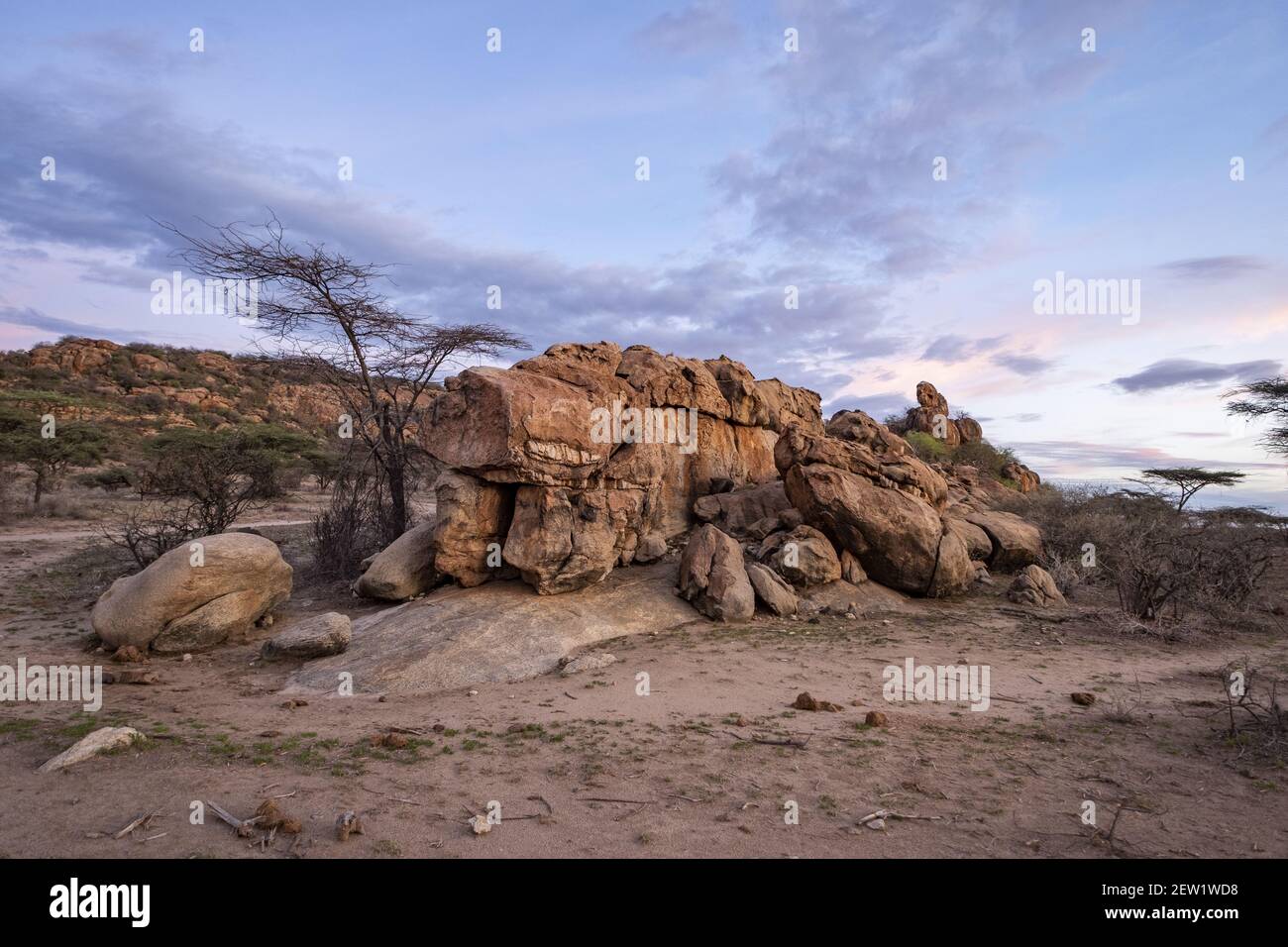 Kenya, Shaba national reserve, kopjes Stock Photo - Alamy