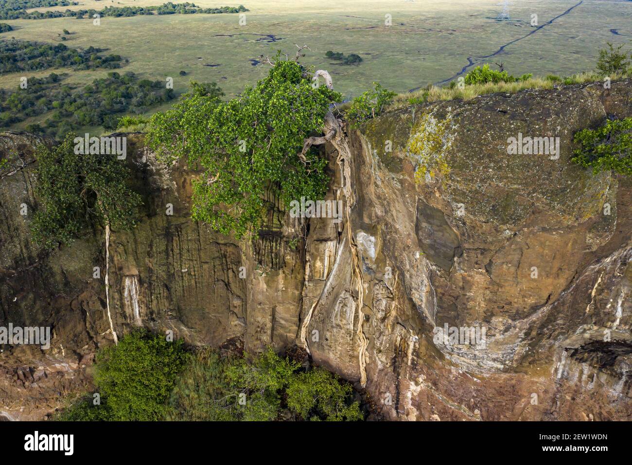Kenya, Soysambu conservation area (aerial view Stock Photo - Alamy