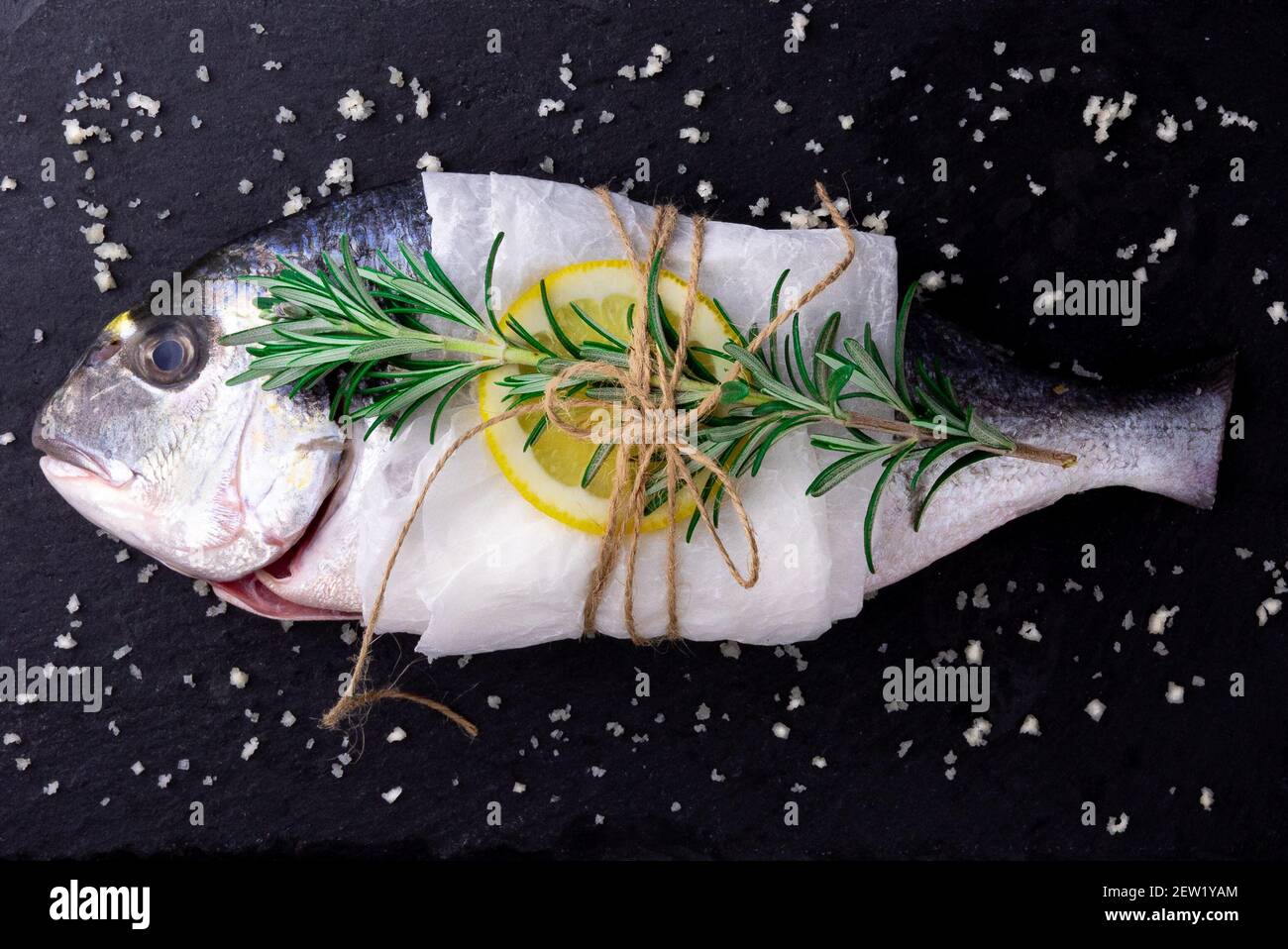 Black bream fish hi-res stock photography and images - Alamy