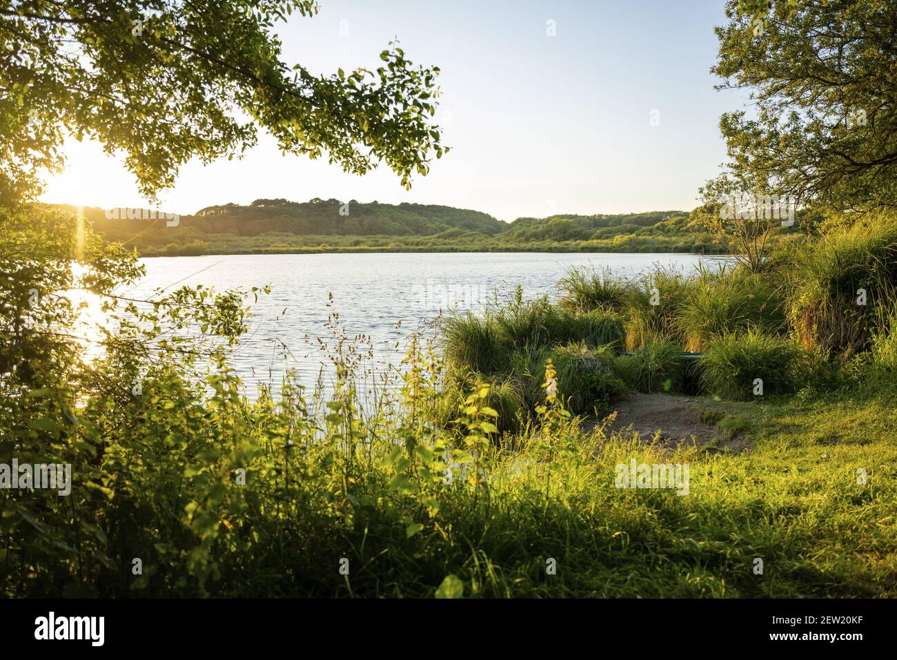 French pond at sunset hi-res stock photography and images - Alamy