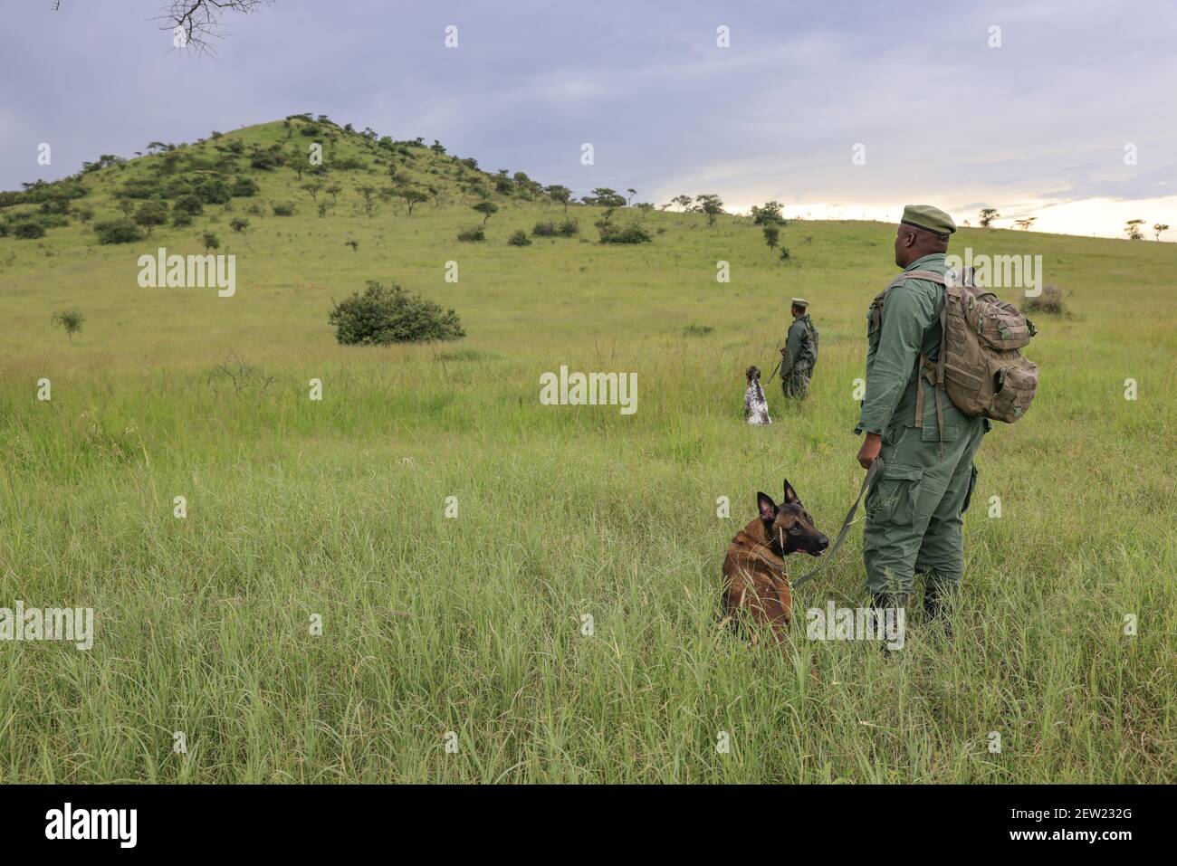 Serengeti park hi-res stock photography and images - Alamy