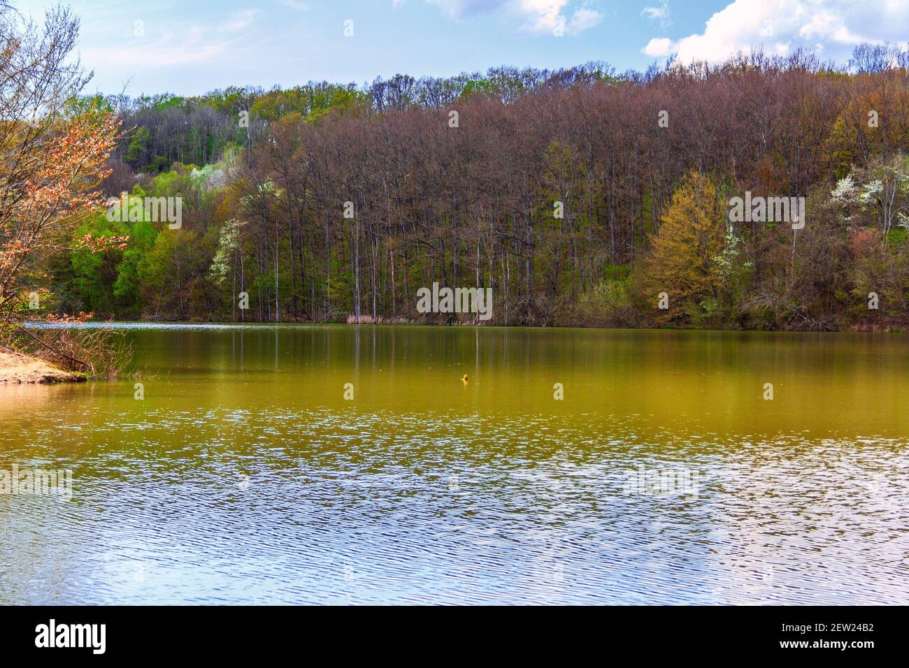 Beauty of early spring hi-res stock photography and images - Alamy