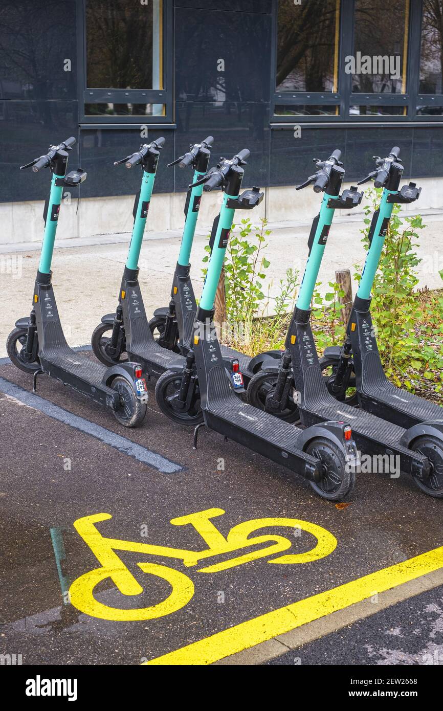 Tier mobility hi-res stock photography and images - Alamy