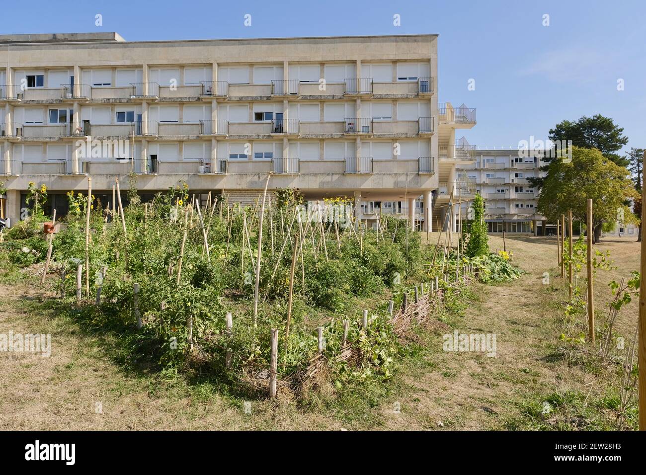 France, Cote d'Or, Dijon, campus of University of Burgundy, university ...