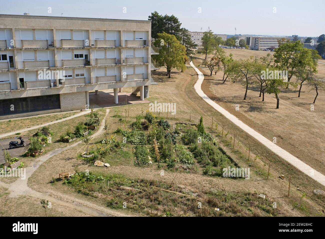 France, Cote d'Or, Dijon, campus of University of Burgundy, university ...