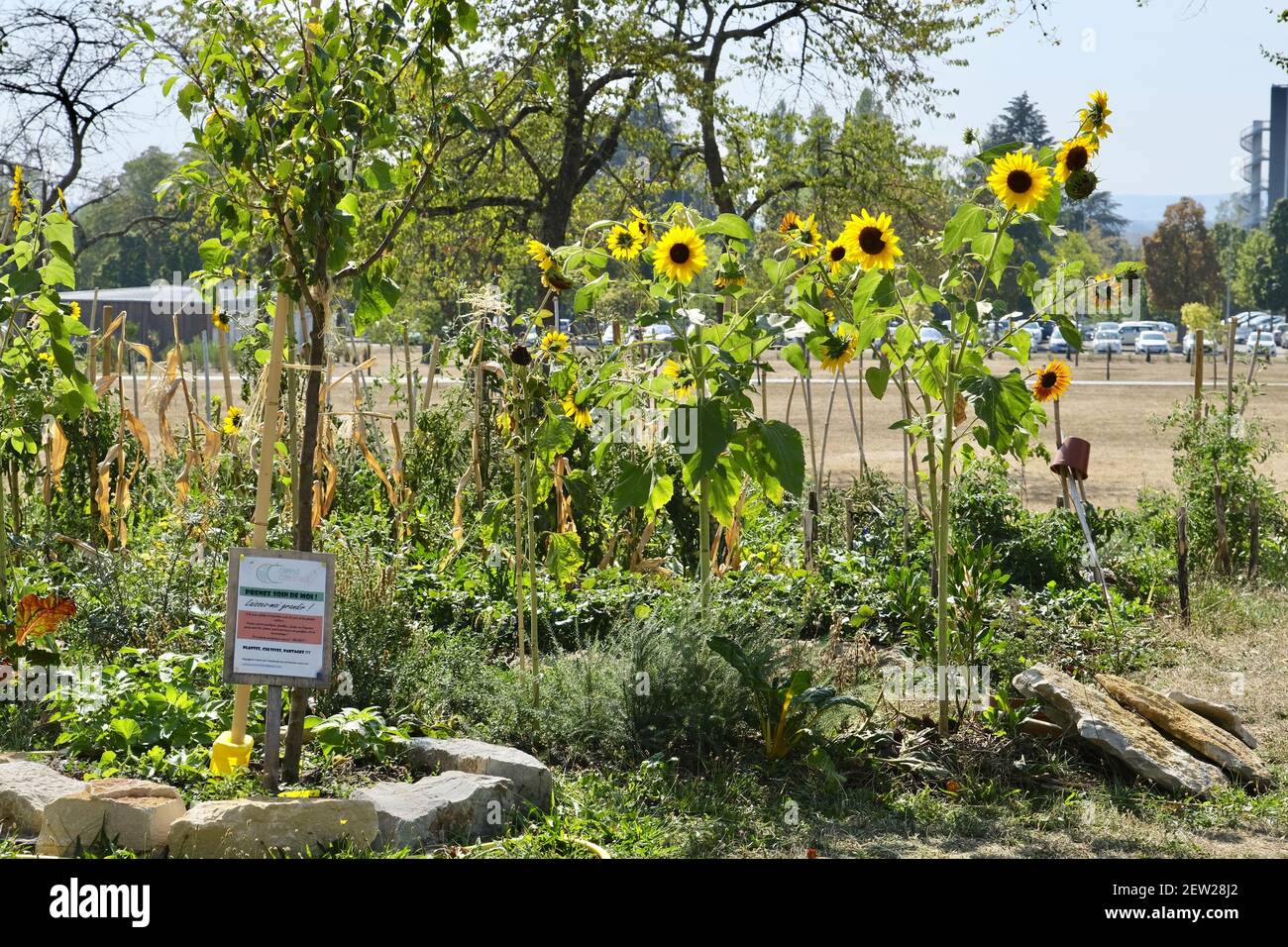 France, Cote d'Or, Dijon, campus of University of Burgundy, university ...