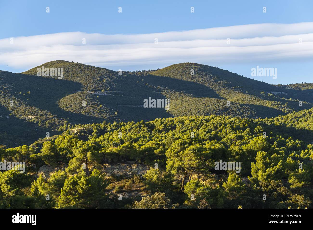 France, Vaucluse, Luberon regional nature park, Cucuron, mountain of ...