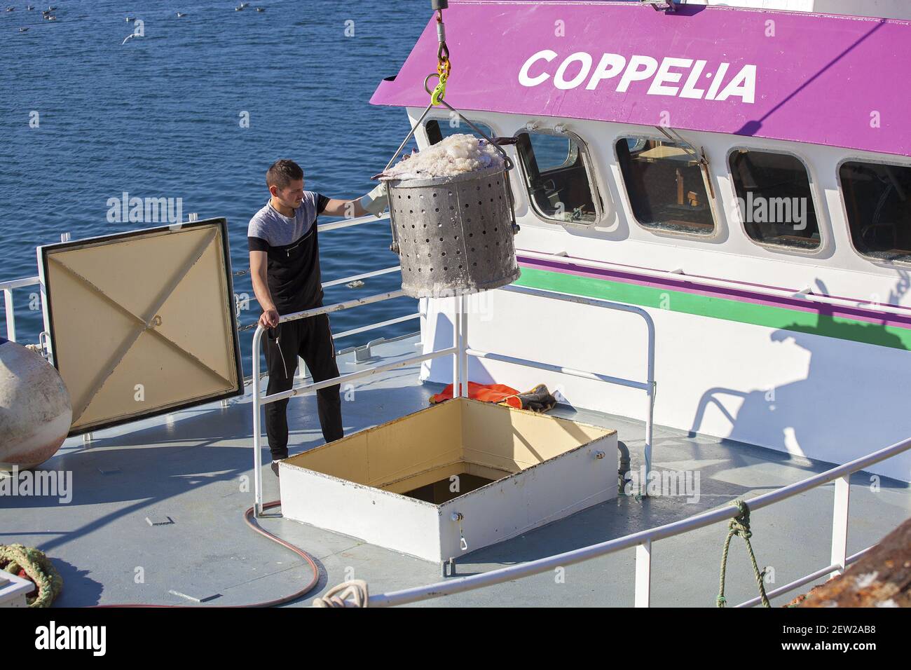 Coppelia hi-res stock photography and images - Alamy