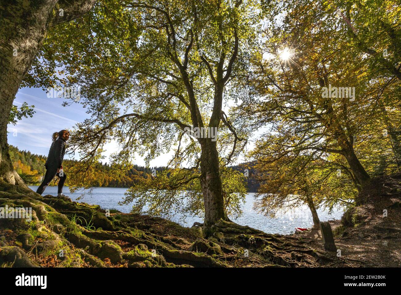 France, Puy-de-Dome, regional natural park of the Volcanoes of Auvergne ...