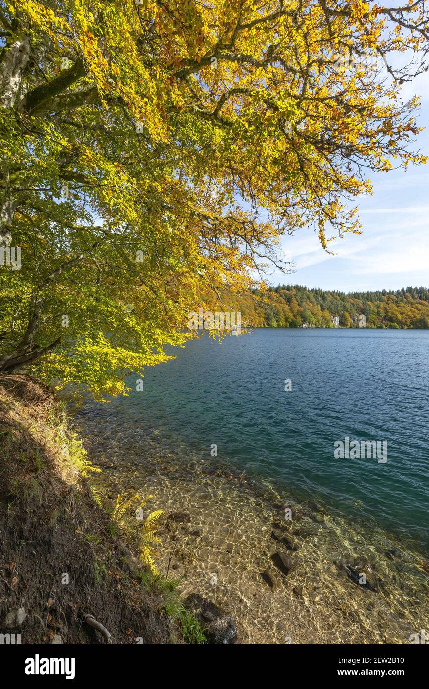 France, Puy-de-Dome, regional natural park of the Volcanoes of Auvergne ...
