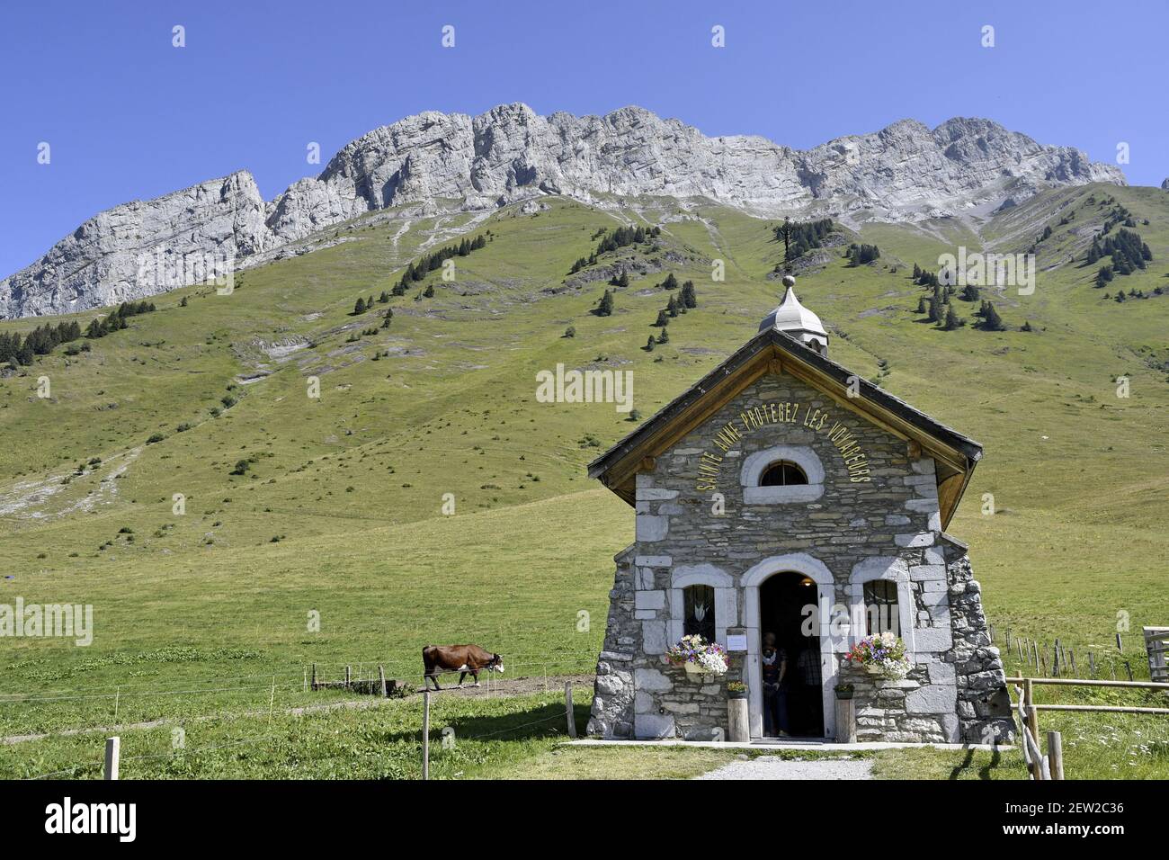 France, Haute Savoie, Col des Aravis, chapel, cows Stock Photo - Alamy