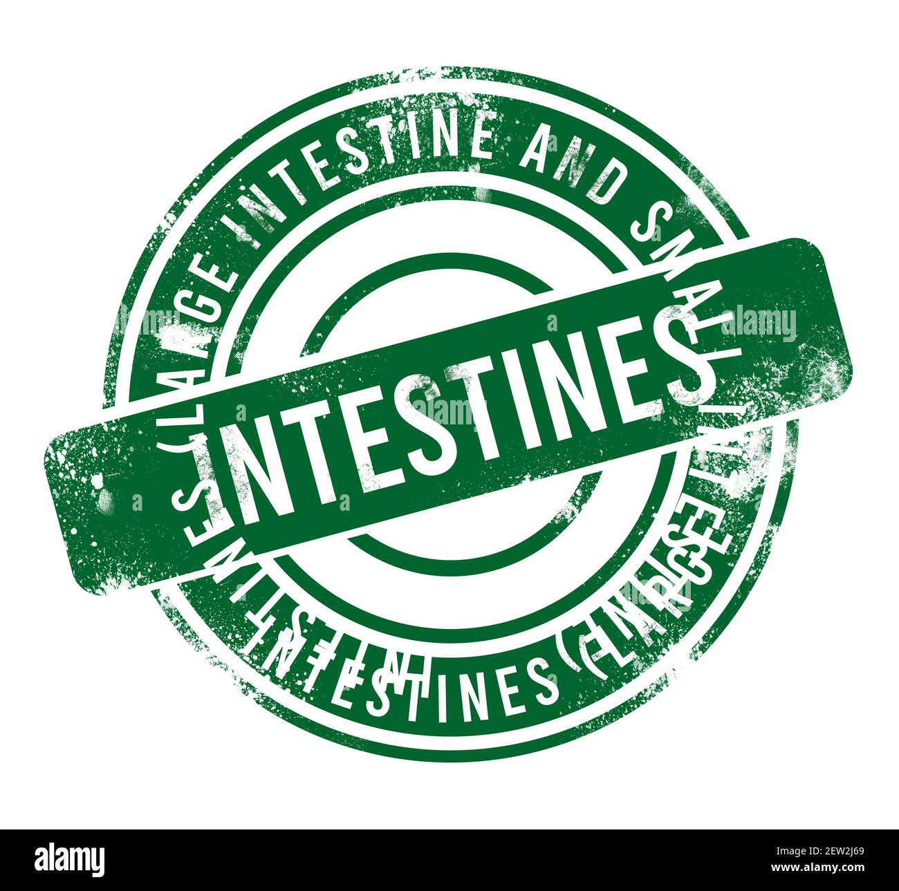 Intestines - green round grunge button, stamp Stock Photo - Alamy