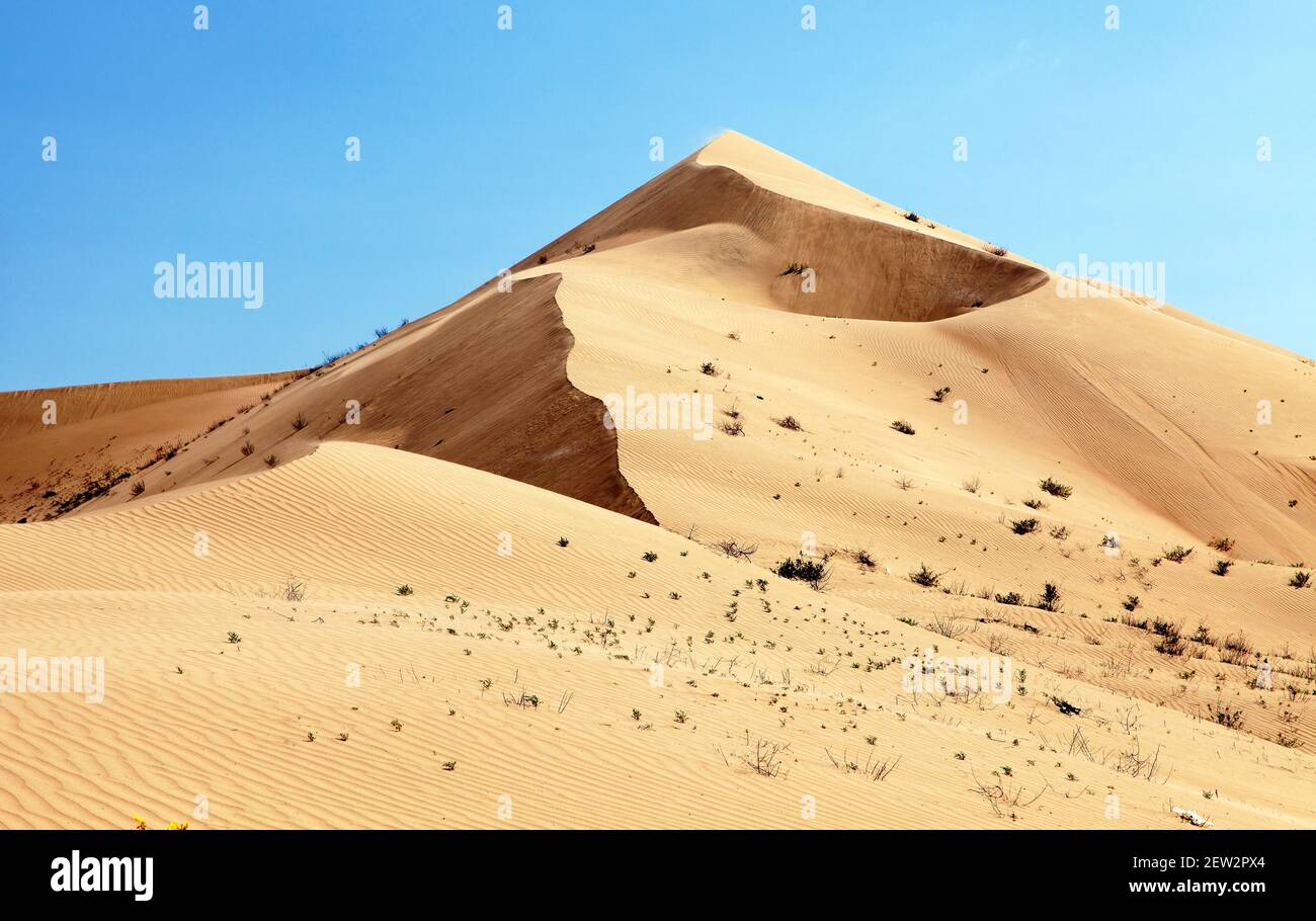Cerro Blanco sand dune, the highest dunes on the world located near ...