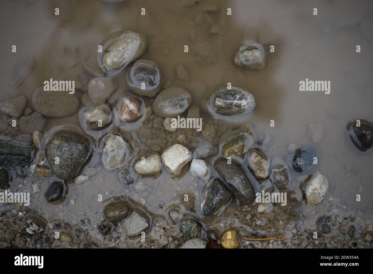 A top view of various rocks in a muddy puddle Stock Photo - Alamy