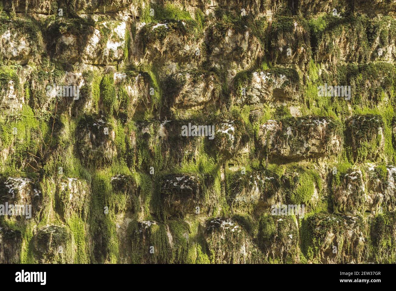 A texture of the old stone moss-covered wall Stock Photo - Alamy
