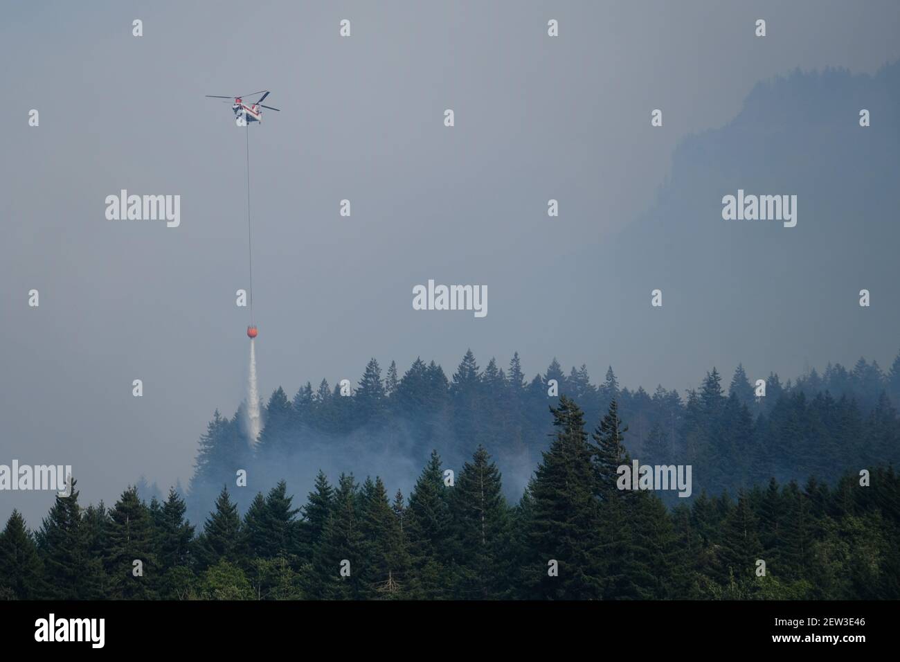 A helicopter dumps water on the Eagle Creek Fire above cascade Locks ...