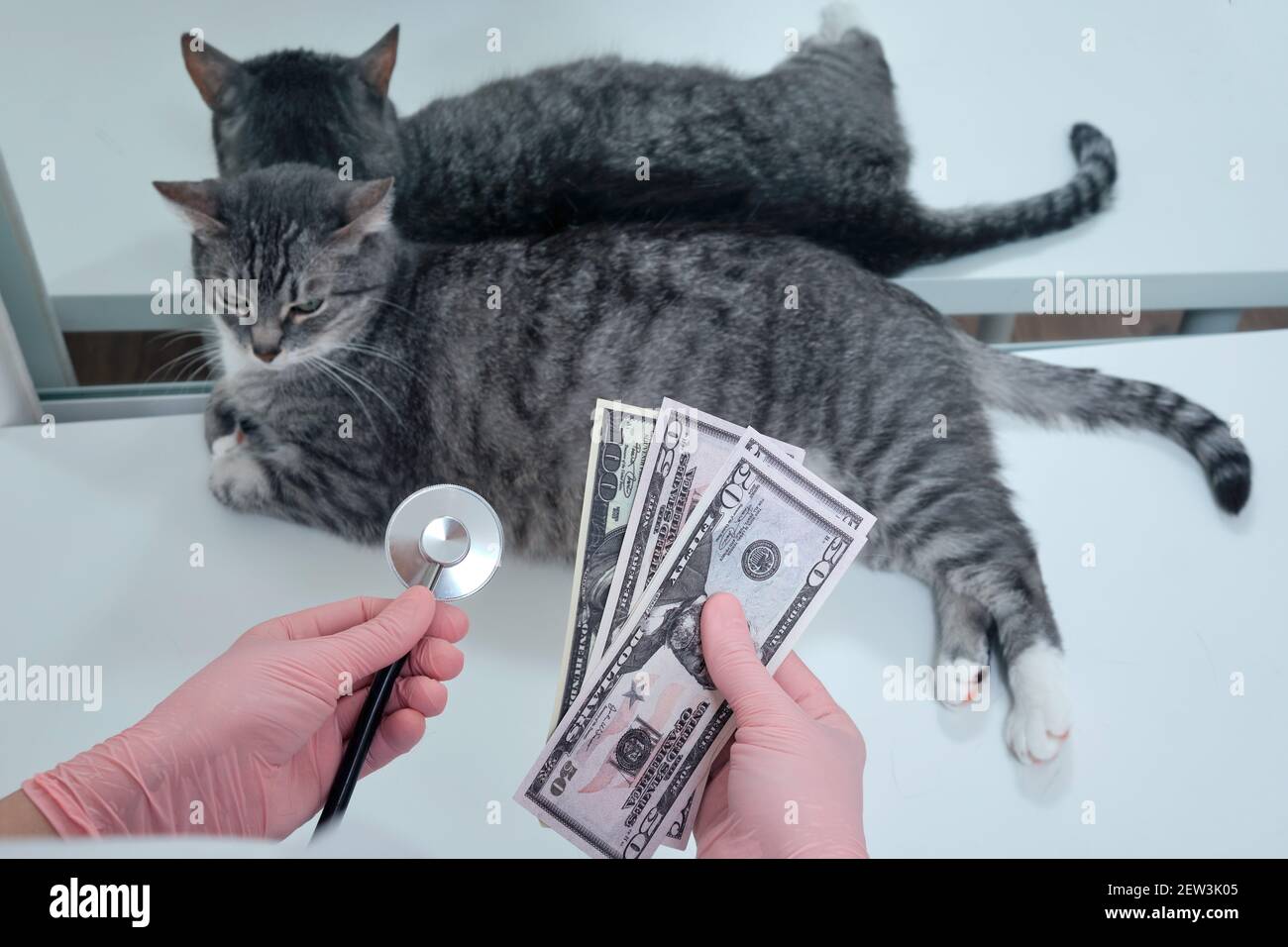 Animals Holding Money