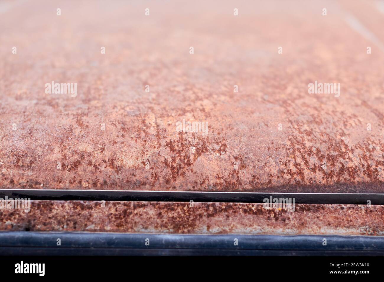 Metal corrosion from rain on the roof of a rusty old car, copy space ...