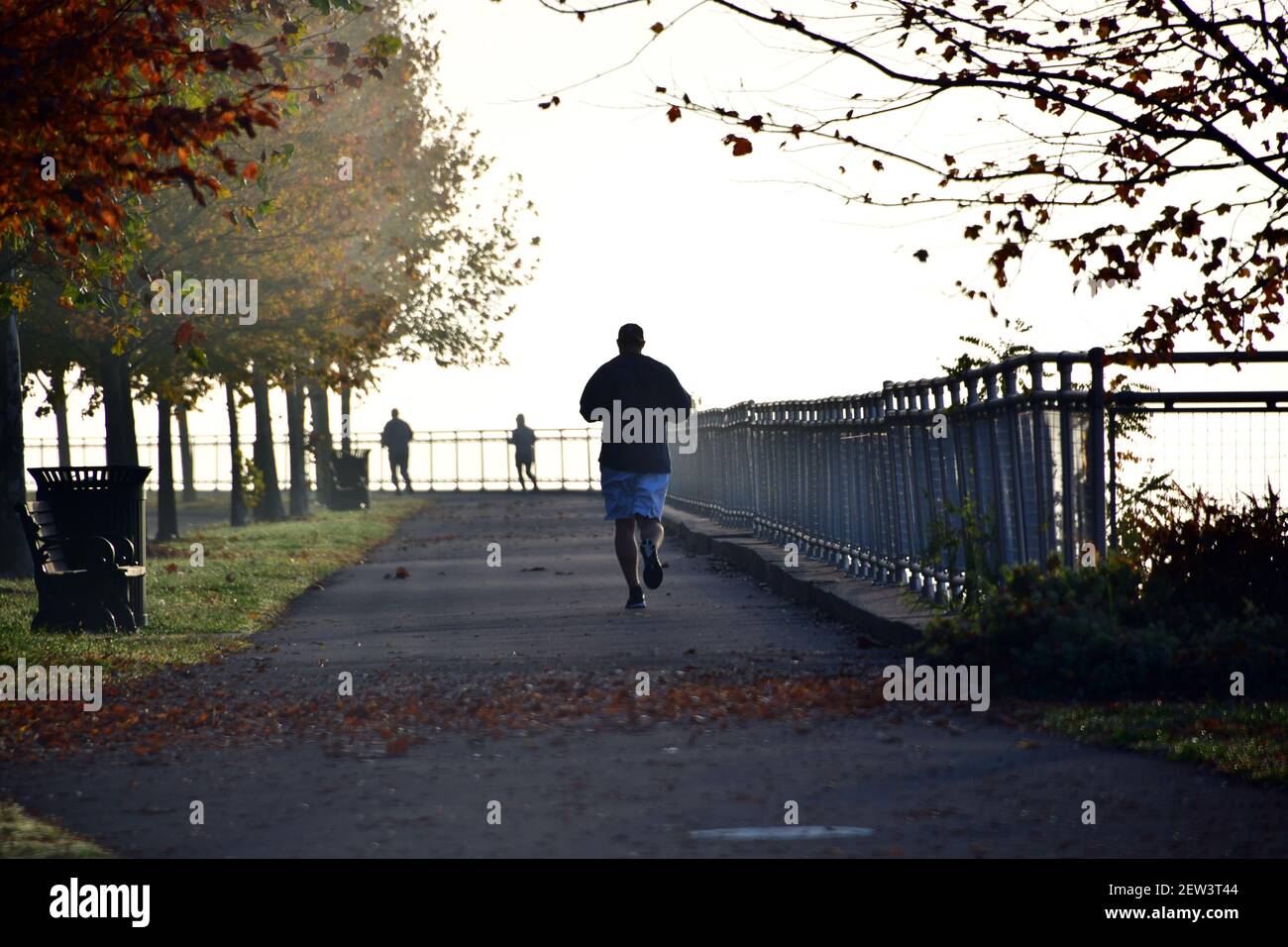 Farm path and runners hi-res stock photography and images - Alamy