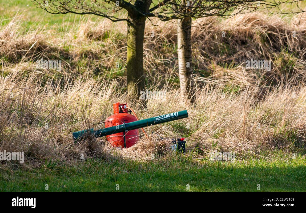 Bird scarer hi-res stock photography and images - Alamy