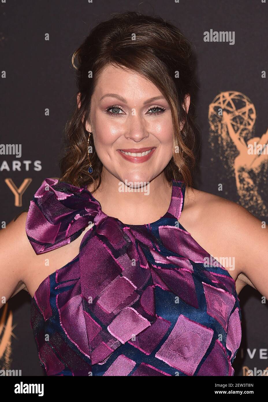 LOS ANGELES - SEPTEMBER 9: Amber Nash at the 2017 Creative Arts Emmy Awards at the Microsoft ...