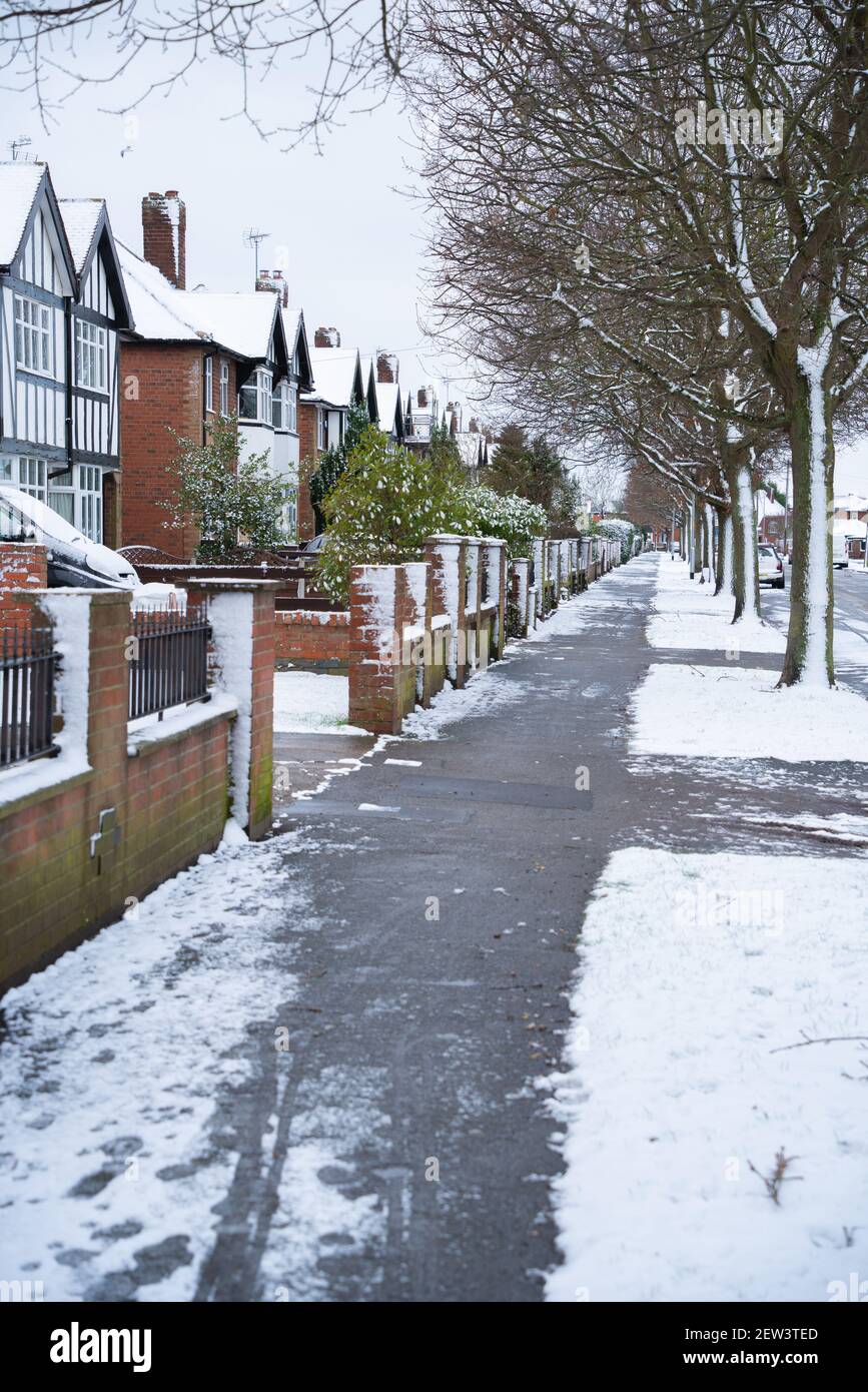 Suburban, winter street, scene, light snow, frosted, perspective, tree ...