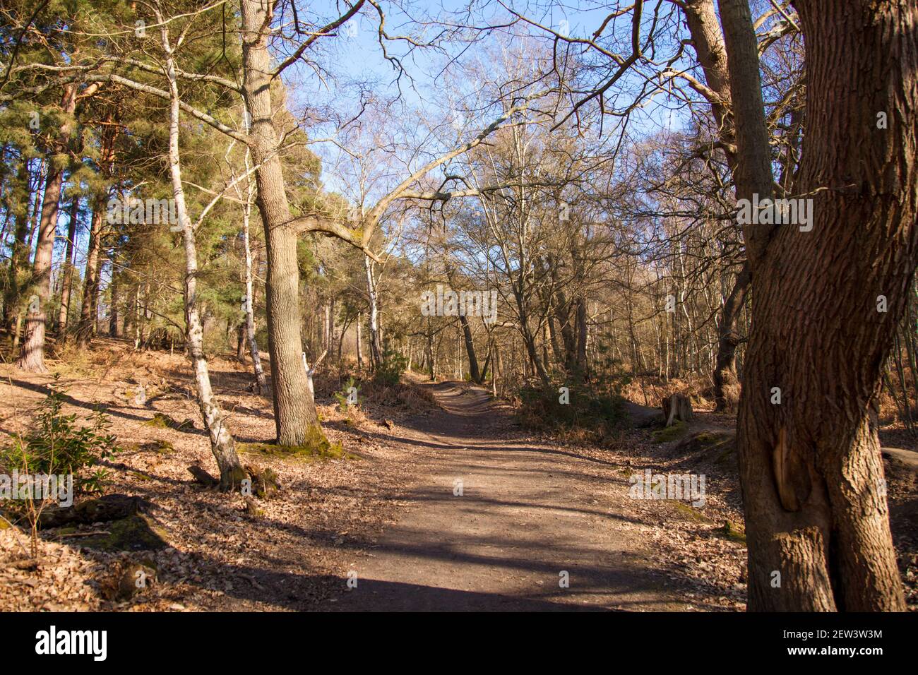 Chatley heath hi-res stock photography and images - Alamy