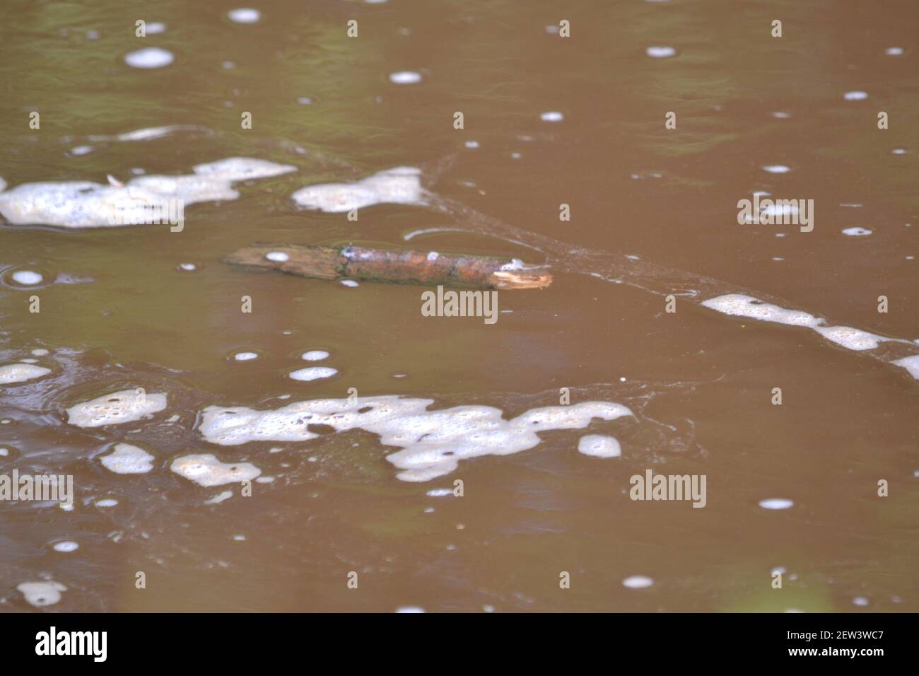 'Pooh Sticks' - Stick Floating Down River - Moving Water - Flowing ...