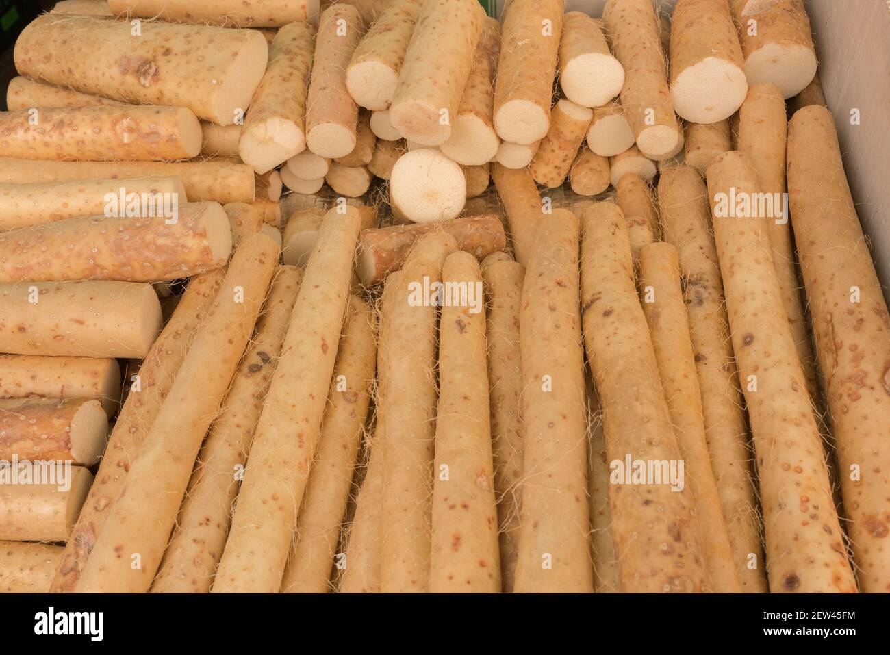Chinese Yams High Resolution Stock Photography and Images - Alamy